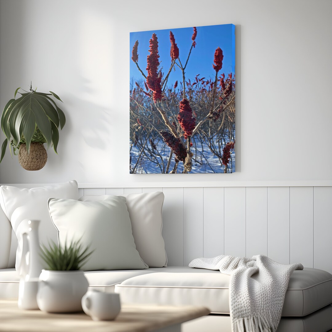 Sumac Patch, Sun Rays and Stem Fuzz, Nature Photo Print on Canvas, Wall ...