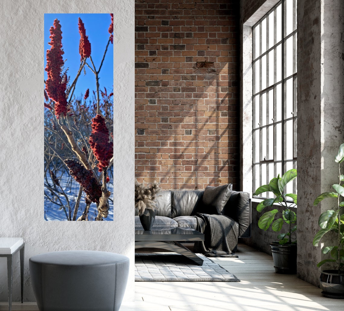 Sumac Patch, Sun Rays and Stem Fuzz, Nature Photo Print on Canvas, Wall ...