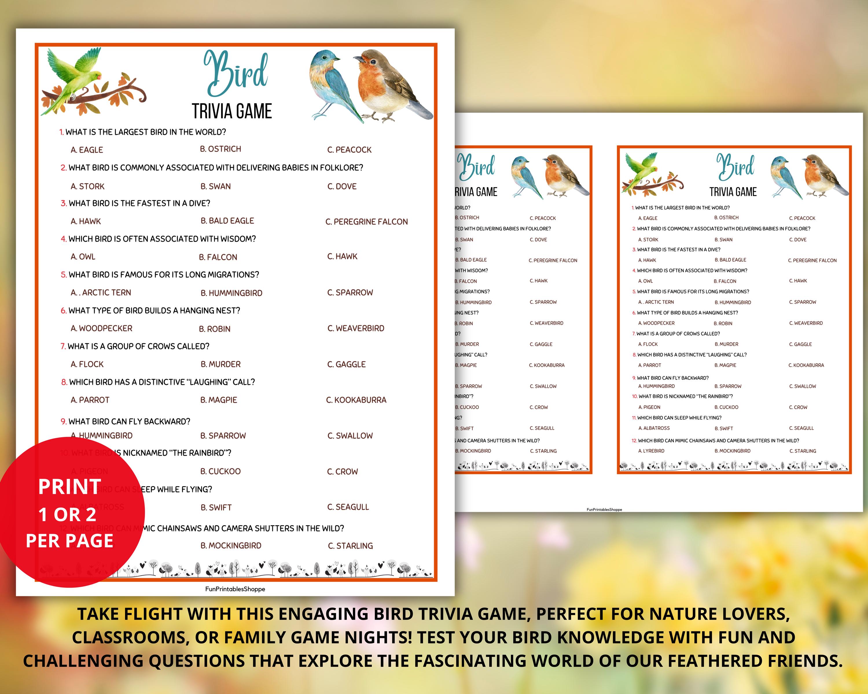 Bird Trivia Game,birds Quiz,animal Trivia,zoo Trivia,wildlife Quiz ...