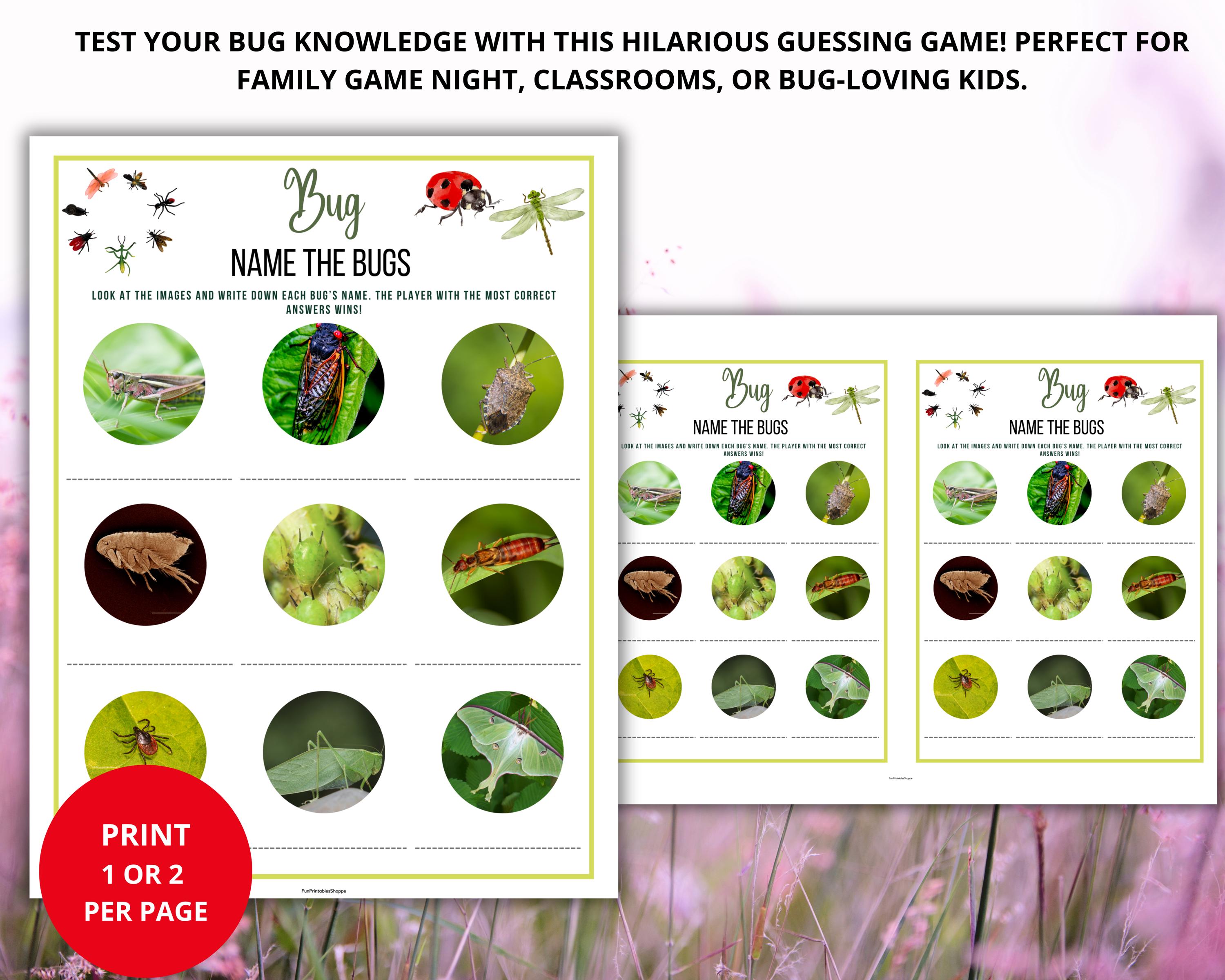 Bug Trivia Game,insect Trivia,insect Picture Quiz,name the Bug Game ...