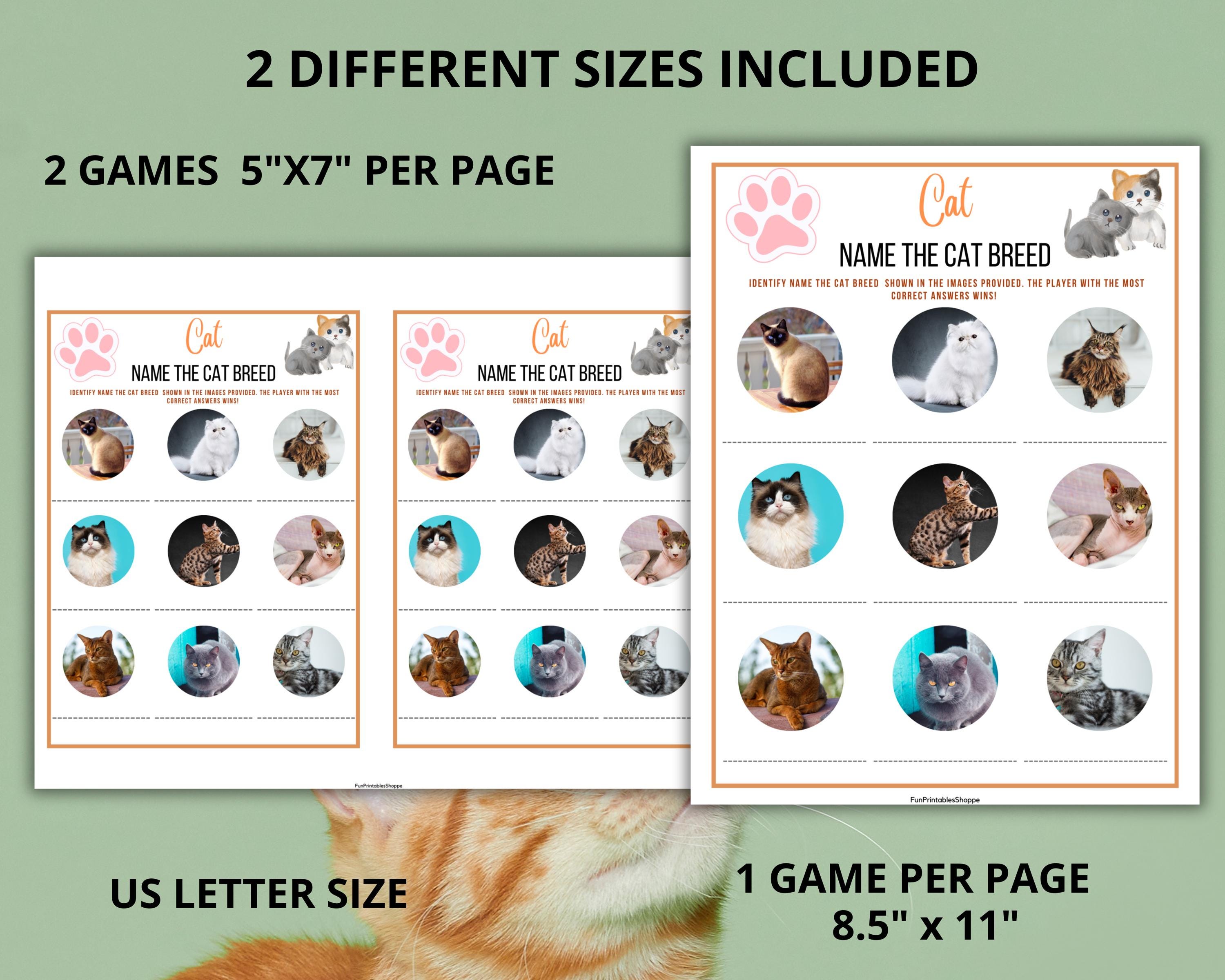 Cat Trivia,cat Picture Game,name the Cat Breed,cat Family Activity,fun ...