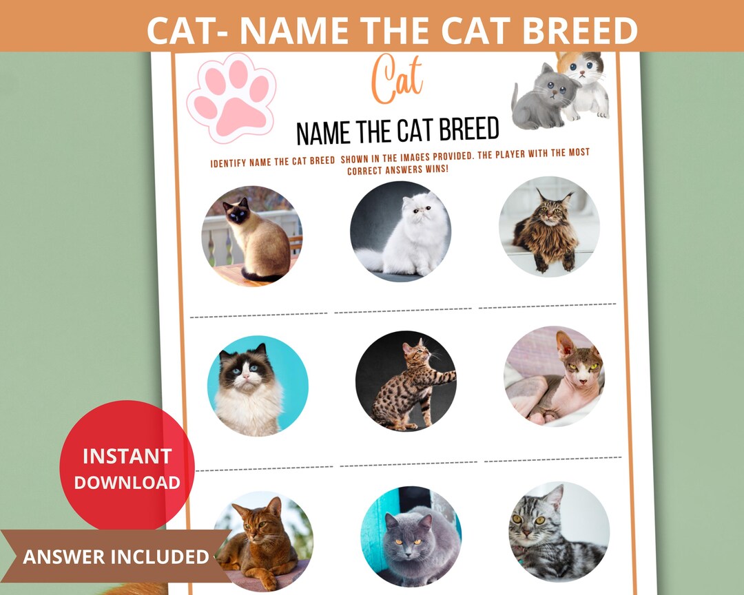 Cat Trivia,cat Picture Game,name the Cat Breed,cat Family Activity,fun ...