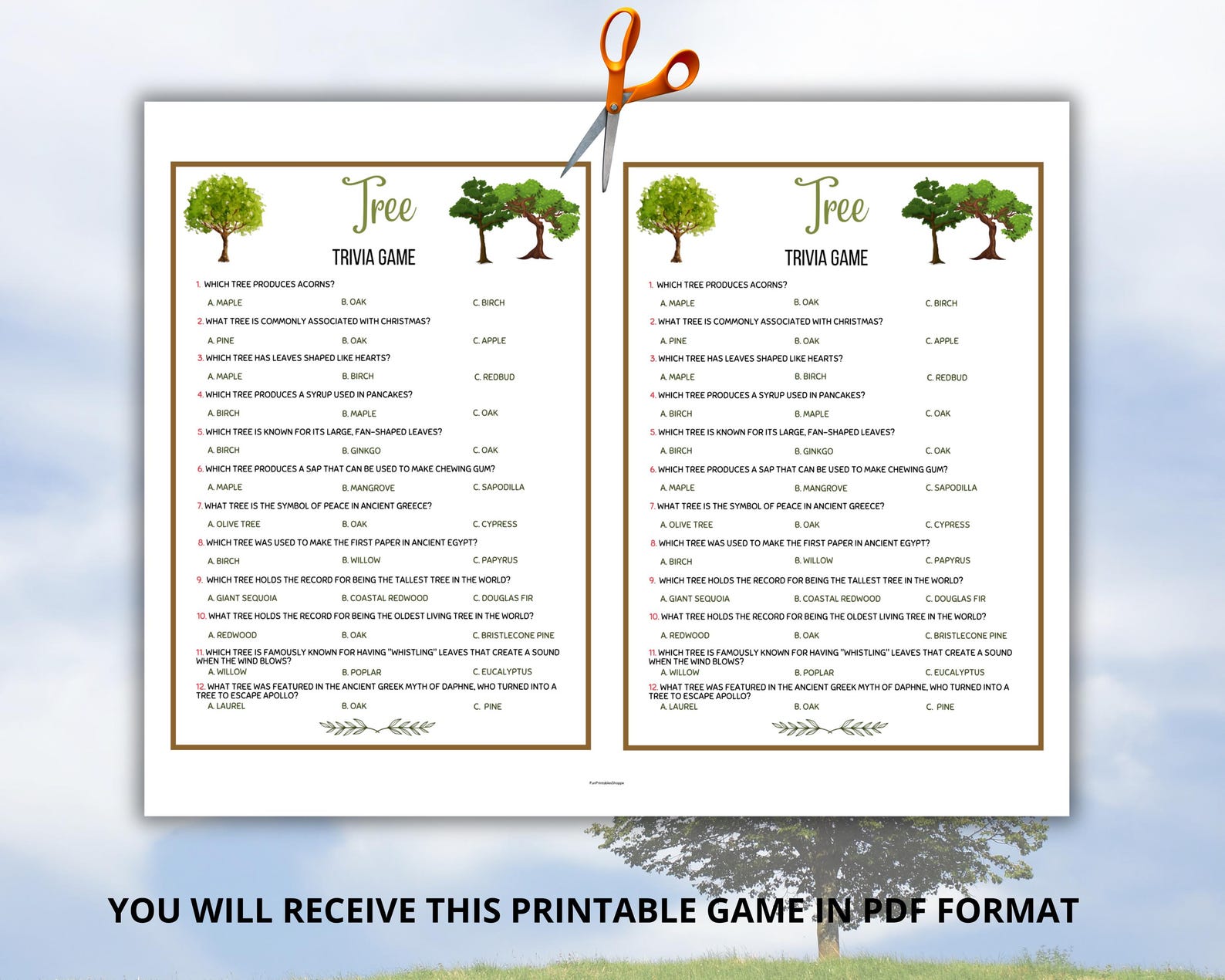 Tree Trivia Game,nature Trivia,tree Quiz,teen Party Games,plant Trivia ...