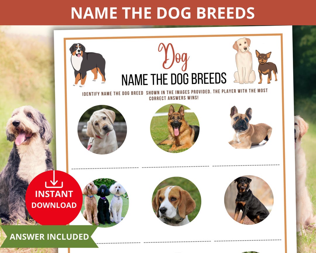 Name the Dog Breed,name That Pup Quiz,dog Picture Game,puppy Trivia ...