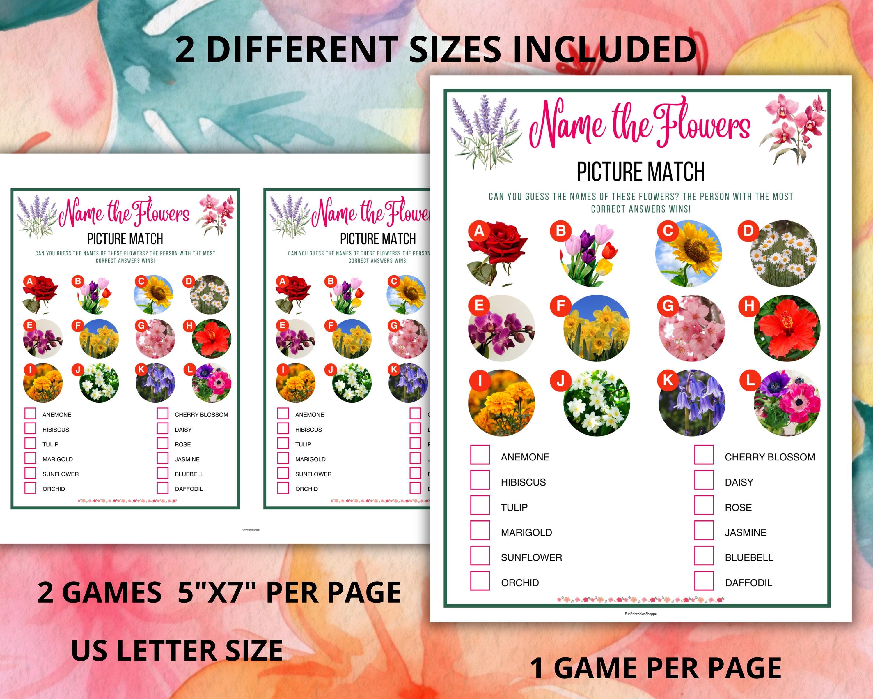 Flower Trivia Game,flower Matching Game,name the Flowers,spring Trivia ...