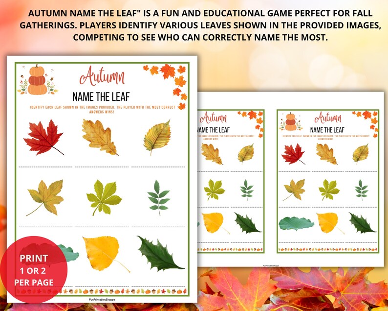 Fall Leaf Game,fall Trivia Quiz,autumn Trivia,leaf Trivia,pumpkin Quiz ...