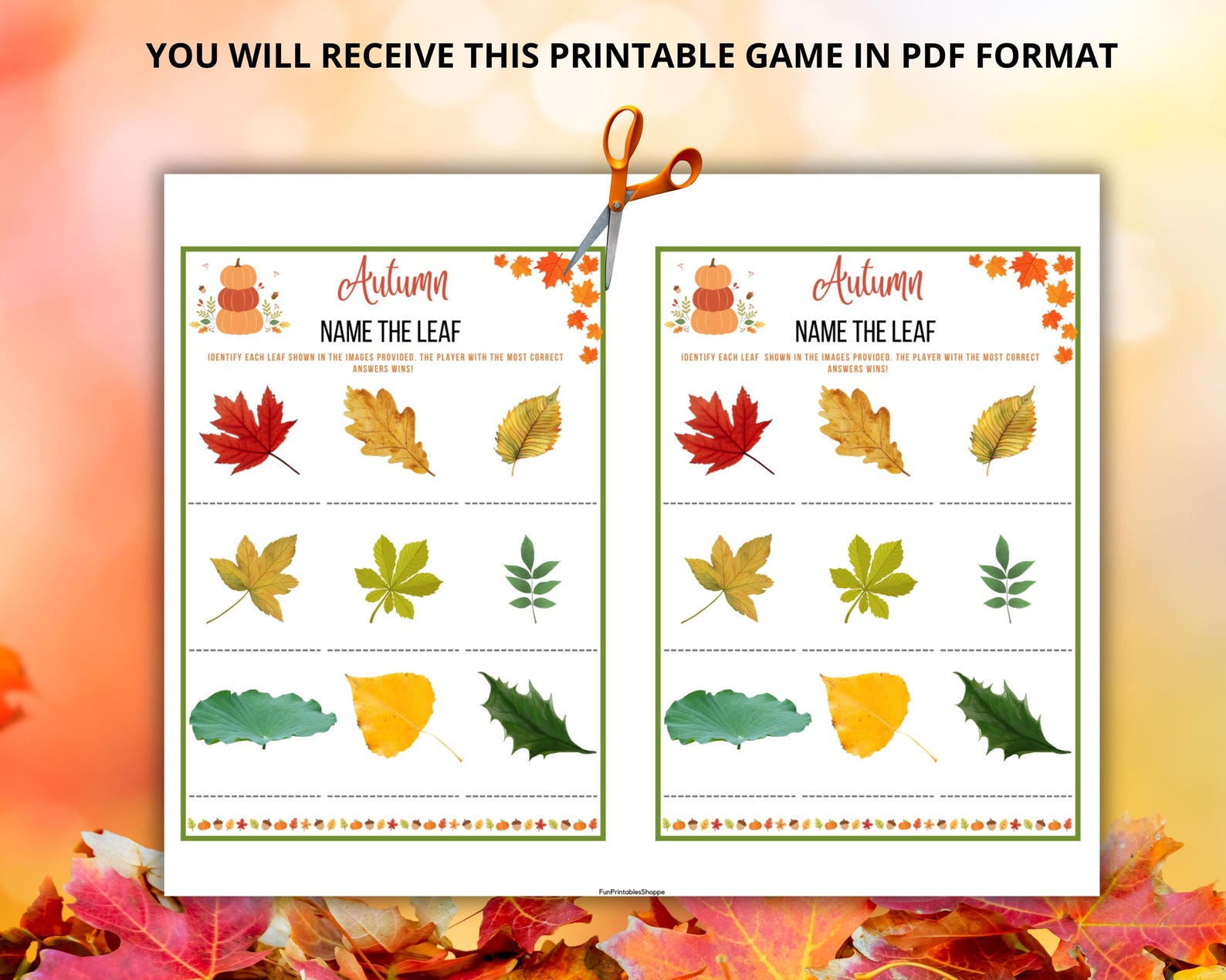 Fall Leaf Game,fall Trivia Quiz,autumn Trivia,leaf Trivia,pumpkin Quiz ...