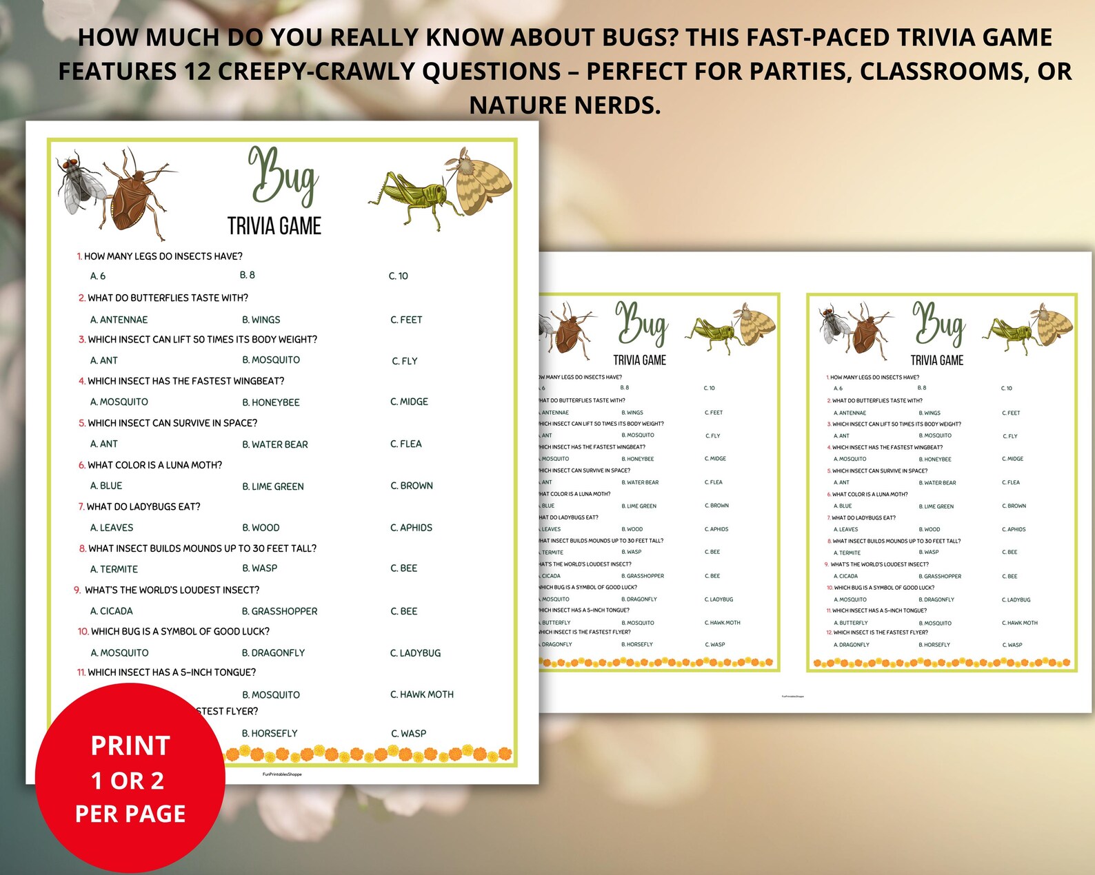 Bug Trivia Game,insect Trivia,insect Quiz,nature Trivia,animal Nature ...