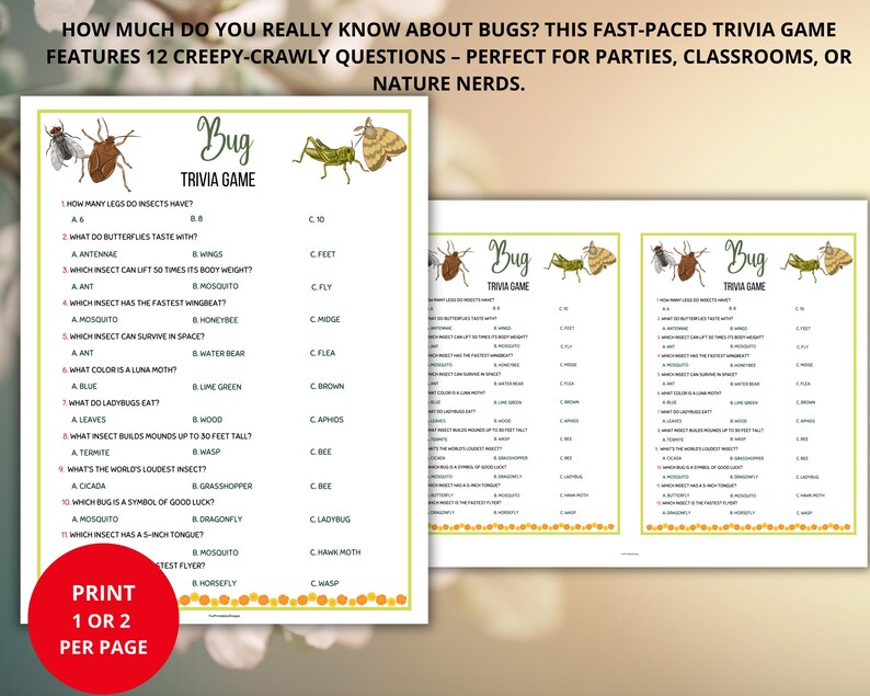 Bug Trivia Game,insect Trivia,insect Quiz,nature Trivia,animal Nature ...
