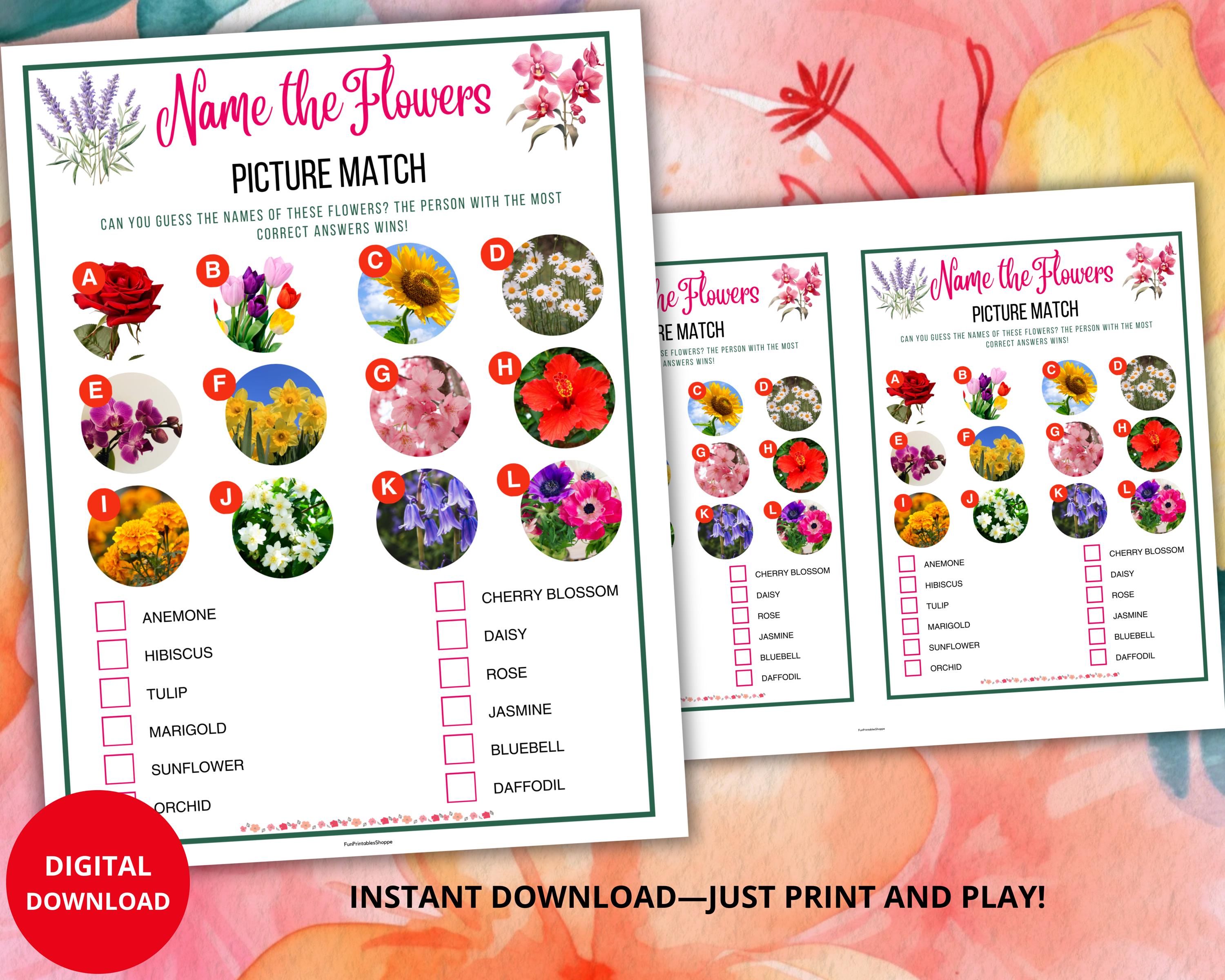 Flower Trivia Game,flower Matching Game,name the Flowers,spring Trivia ...