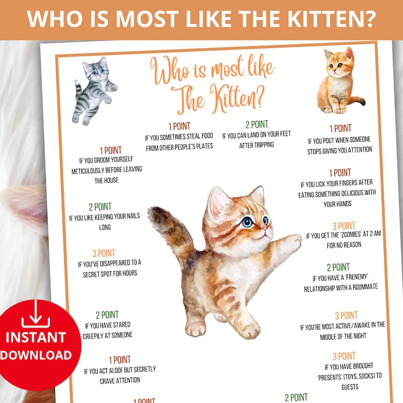 Kitten Party - Etsy
