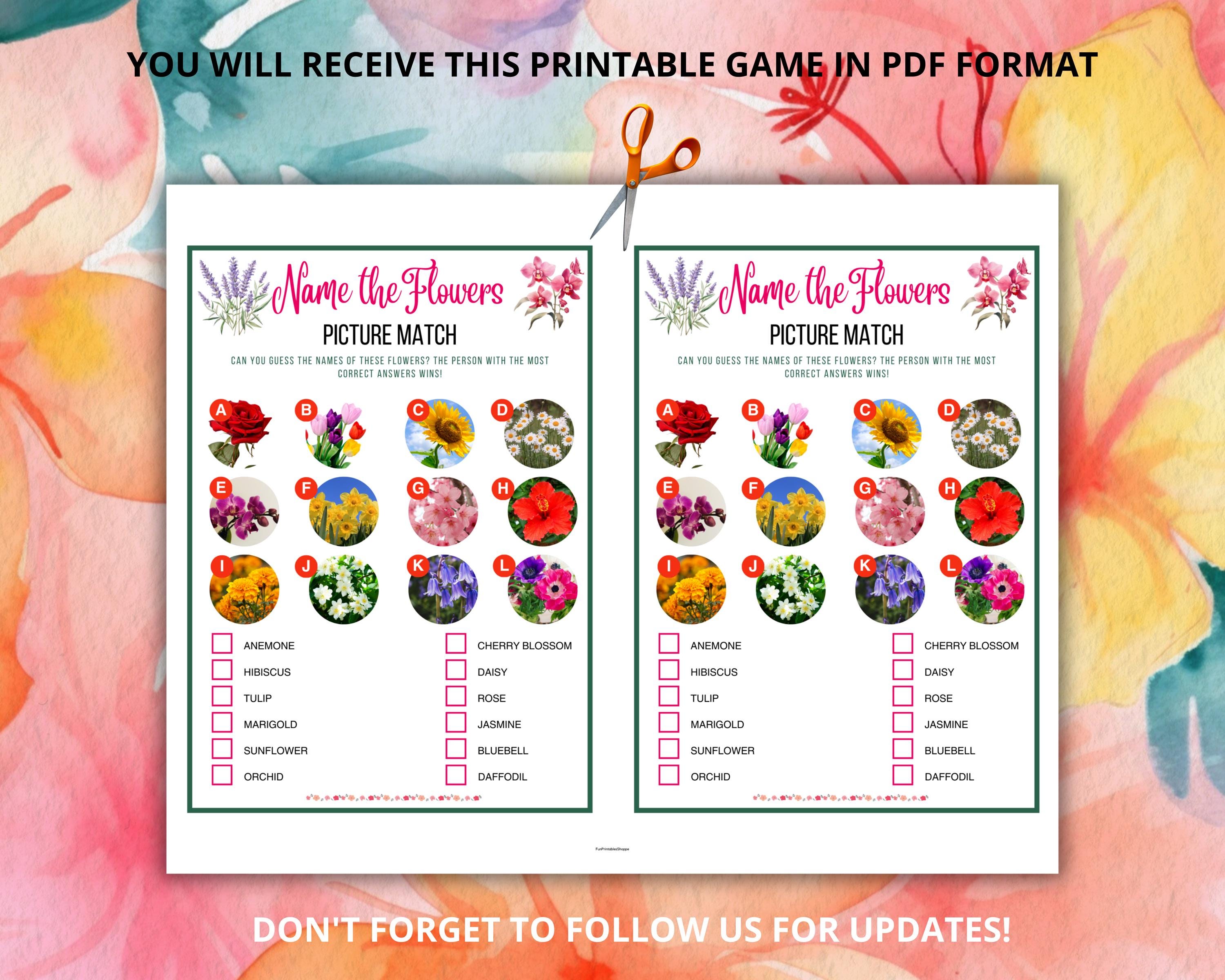 Flower Trivia Game,flower Matching Game,name the Flowers,spring Trivia ...