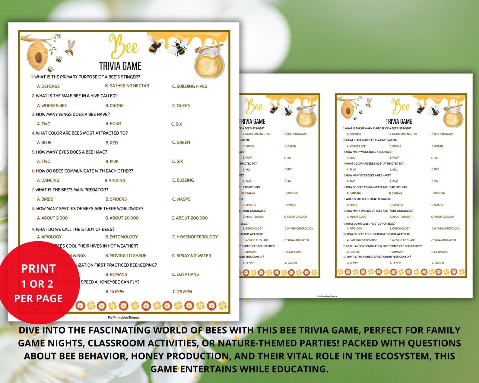 Bee Trivia Game,honey Bee Trivia,bee Quiz,bugs Trivia,animals Quiz ...