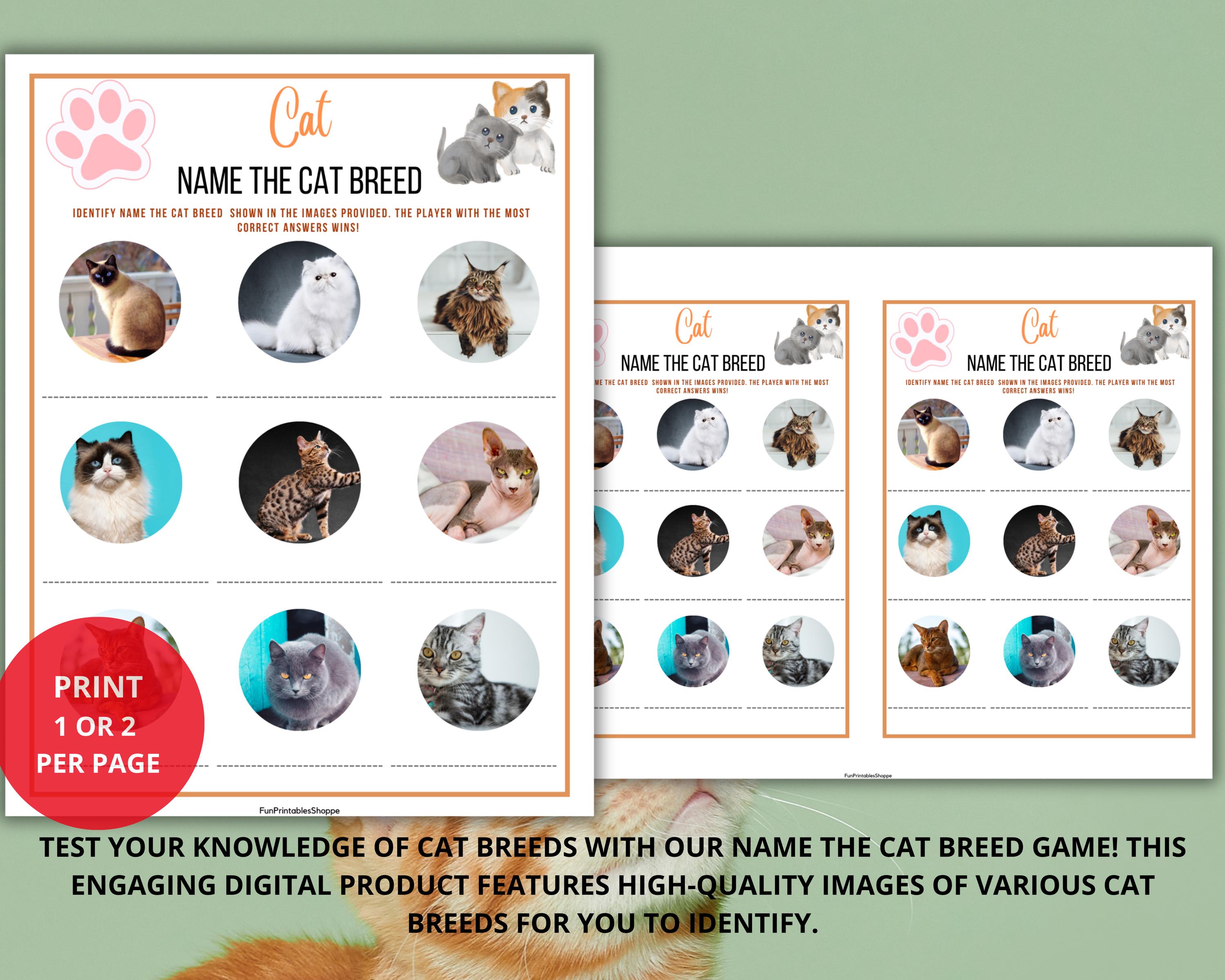 Cat Trivia,cat Picture Game,name the Cat Breed,cat Family Activity,fun ...