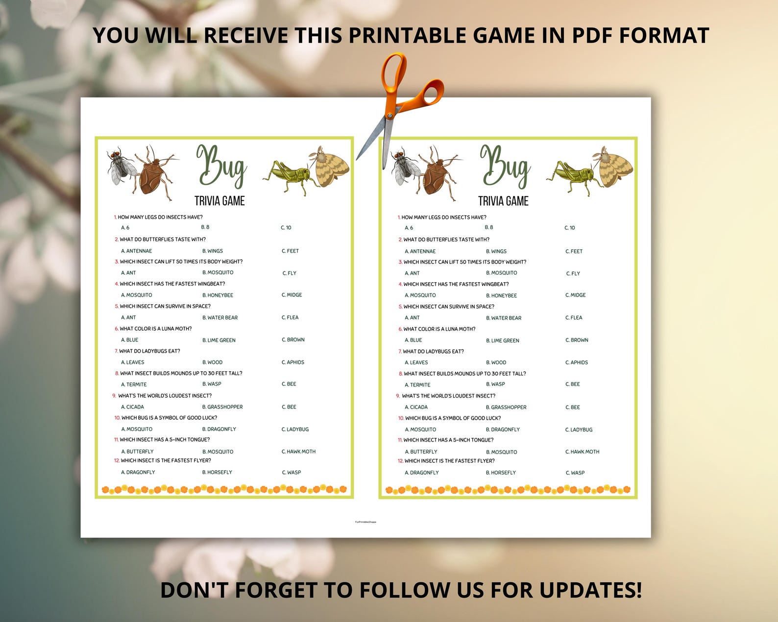 Bug Trivia Game,insect Trivia,insect Quiz,nature Trivia,animal Nature ...