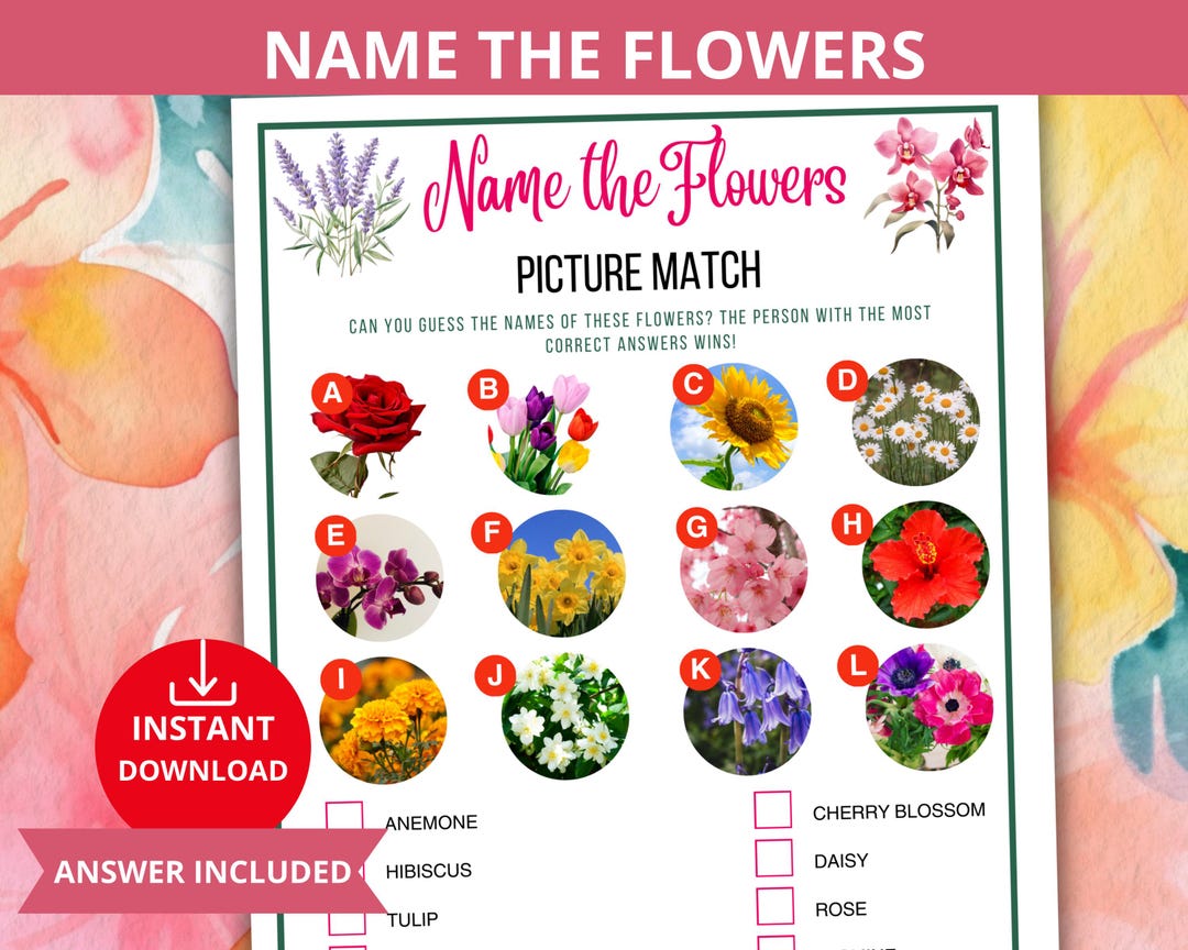 Flower Trivia Game,flower Matching Game,name the Flowers,spring Trivia ...