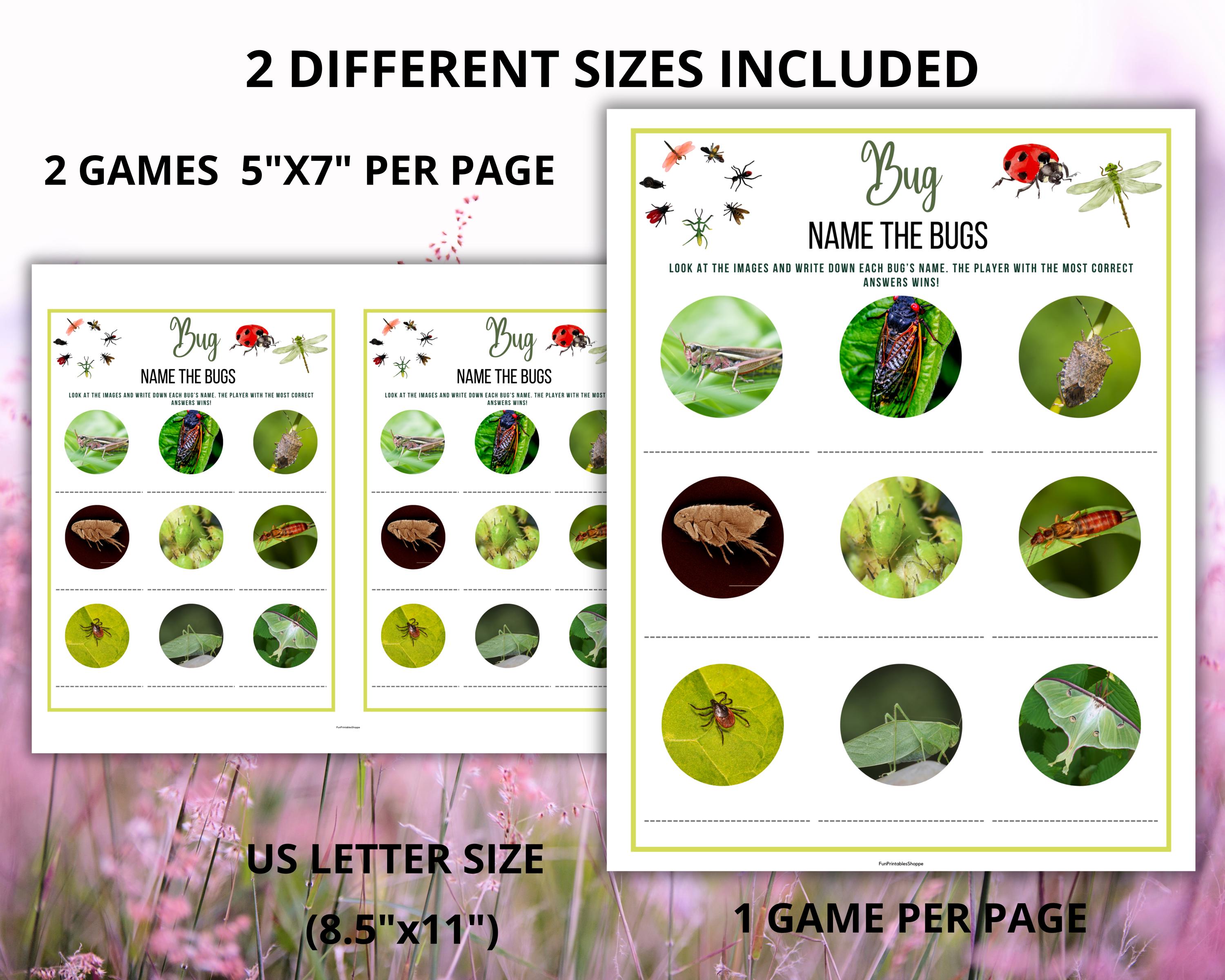 Bug Trivia Game,insect Trivia,insect Picture Quiz,name the Bug Game ...