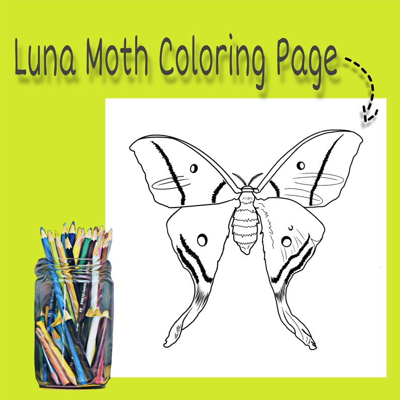 Luna Moth Coloring Page Etsy