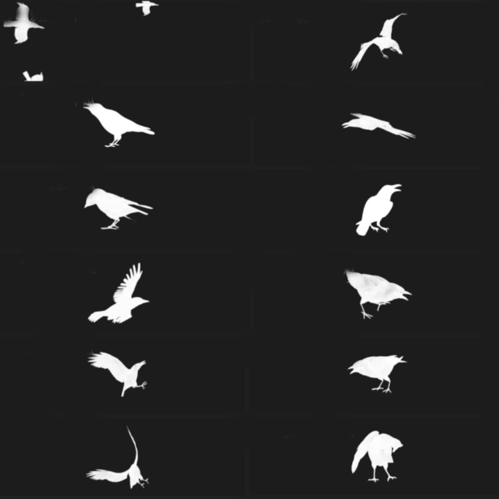 56 Anime Raven Silhouette Brushes for PS & Procreate | Dark Atmosphere ...
