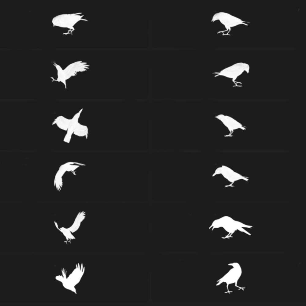 56 Anime Raven Silhouette Brushes for PS & Procreate | Dark Atmosphere ...