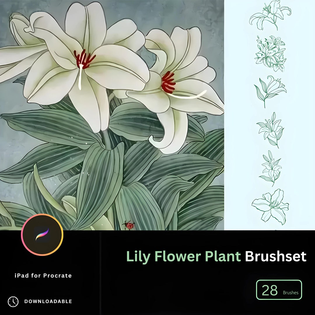 28 Lily Flower Plant Brushset Birth Month Flower Procreate Brushes ...