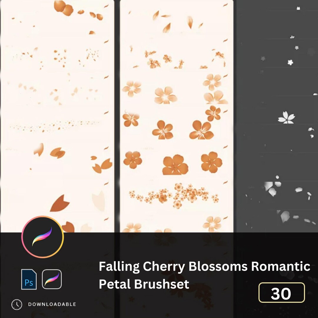 30 Romantic Petal Effects Procreate & PS Brushset | Falling Cherry ...