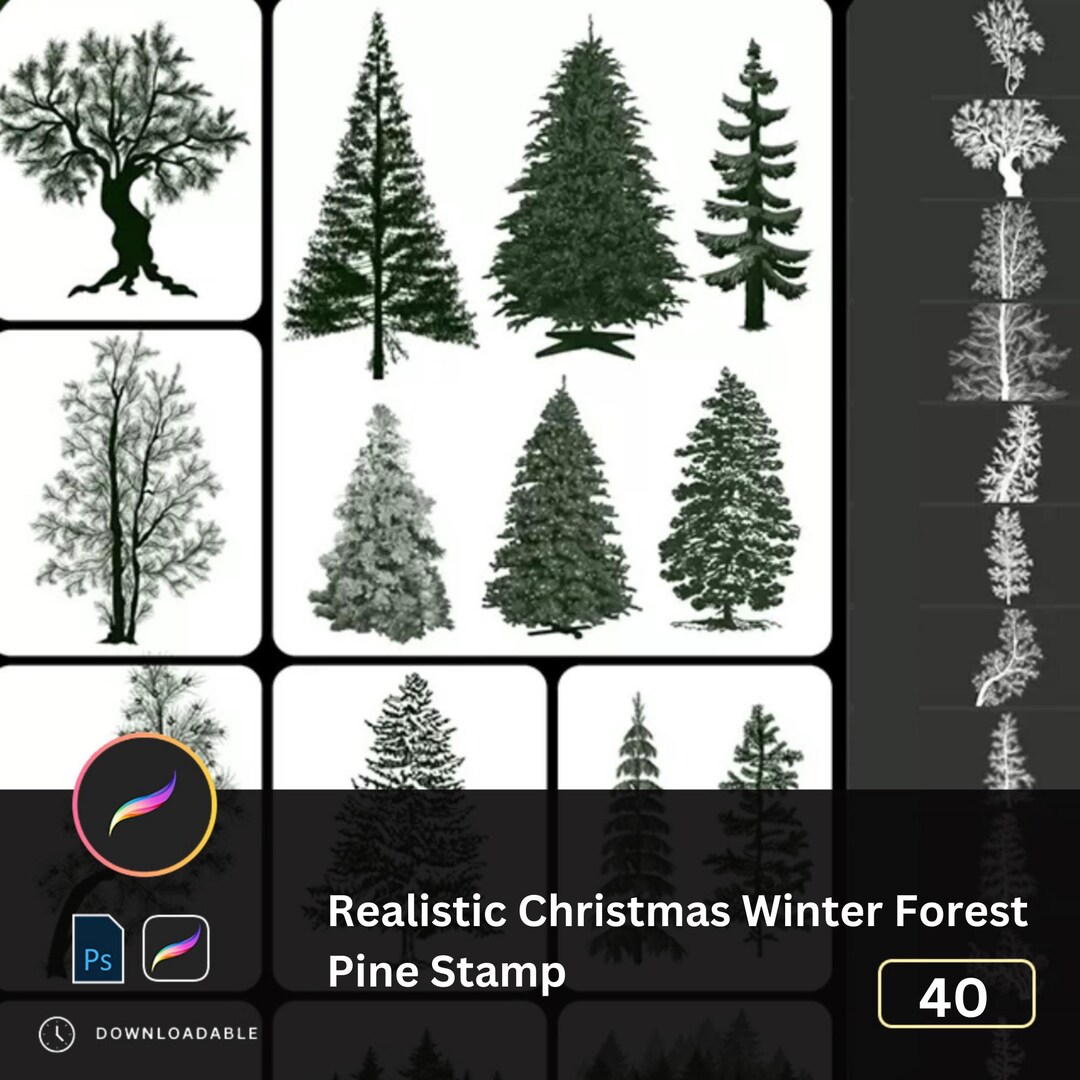 40+ Realistic Christmas Pine Procreate & PS Stamp Brush, Pine Needles ...