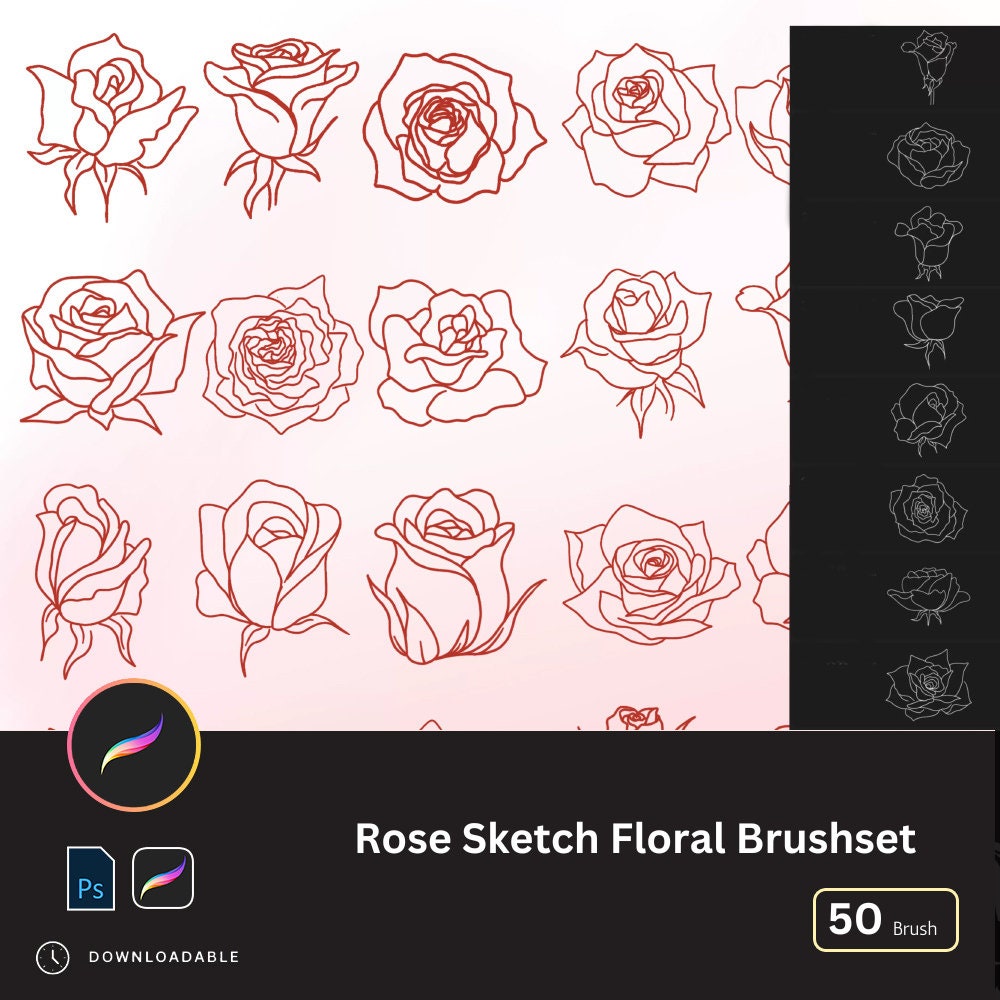 50 Rose Procreate Stamp Roses Sketch Line Art, Flower Brush Stamps ...