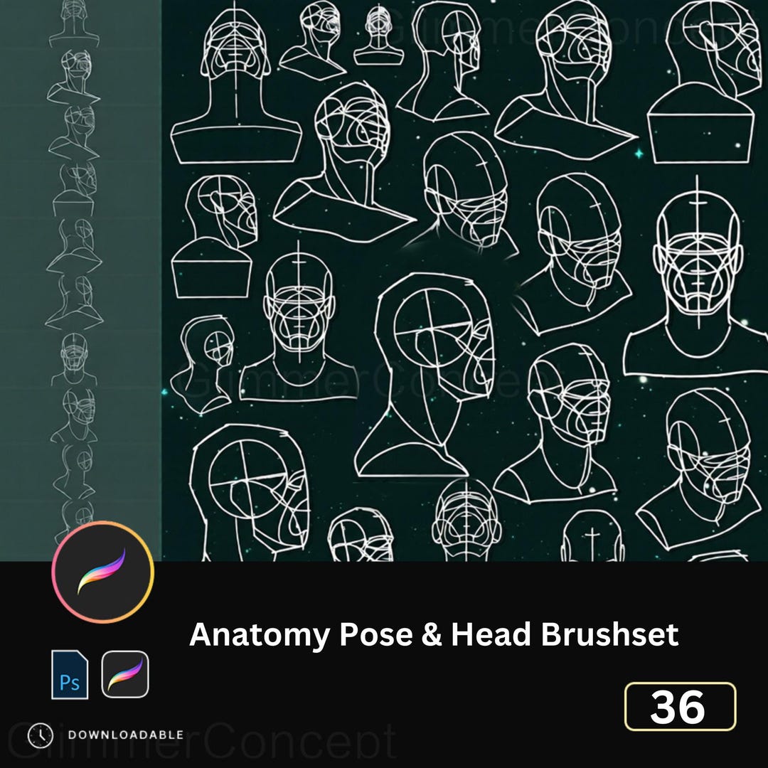Male Female Body Pose Anatomy: Procreate PS Brushset for Head ...