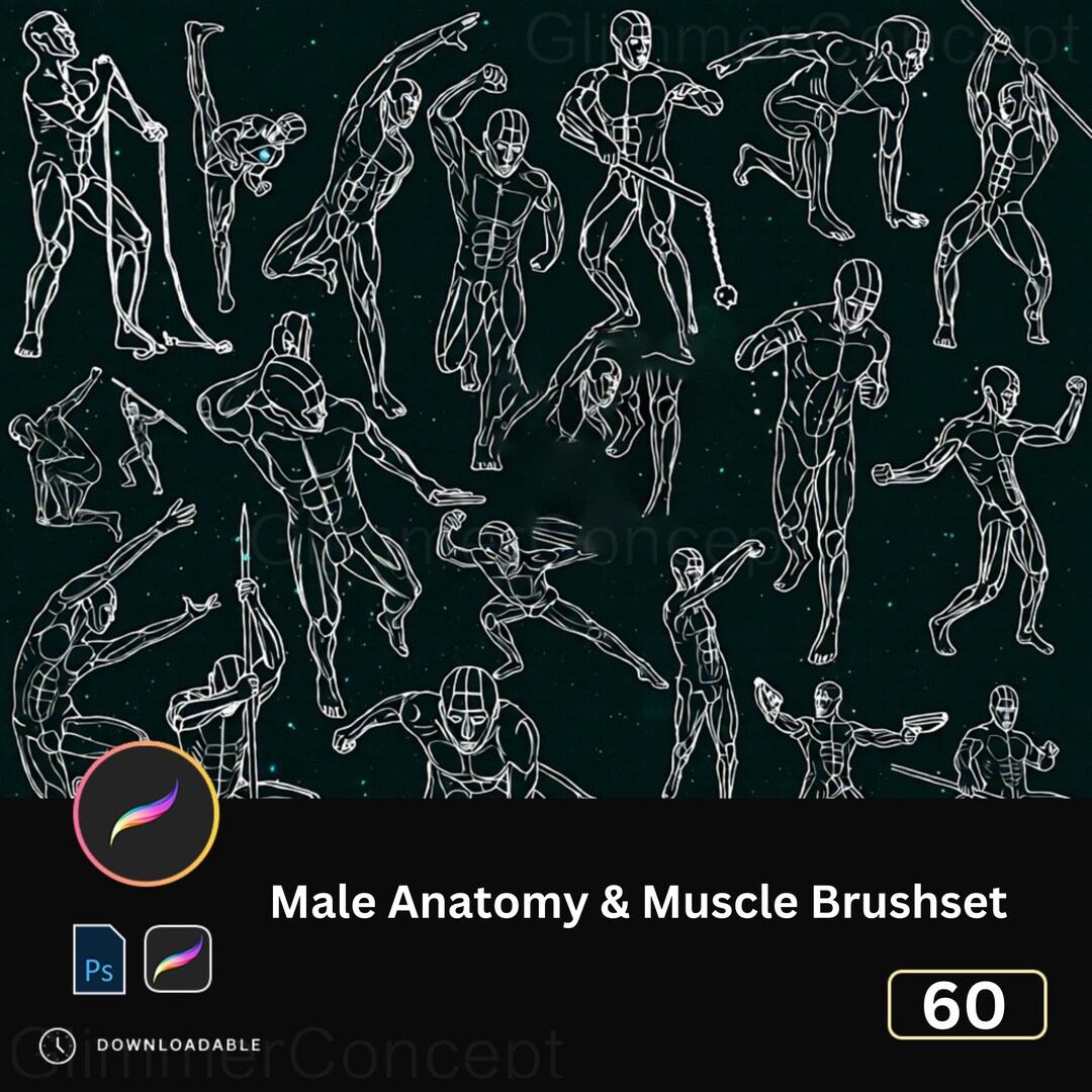 Male Anatomy Muscle Martial Art Brusheset | Procreate & Photoshop Body ...