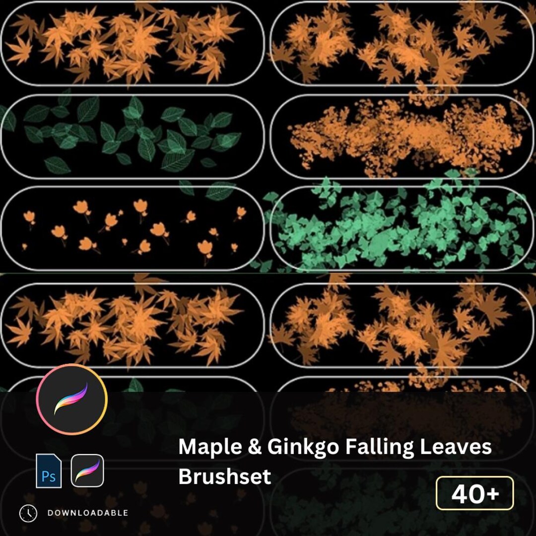 40+ Procreate Falling Leaves Brush Set - Autumn Maple, Ginkgo Leaf ...