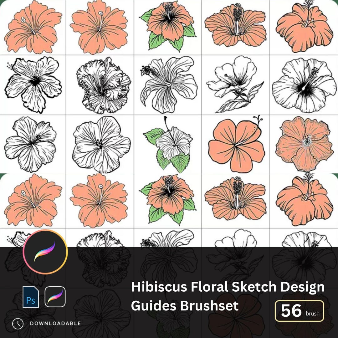 56 Hibiscus Design Guides Procreate Floral Sketch Brushes PS Drawing ...