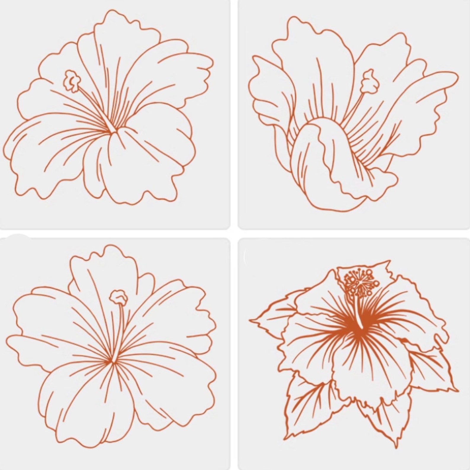 50+ Hibiscus Flower Stamp Brushes Procreate Floral Design, Line Art, PS ...