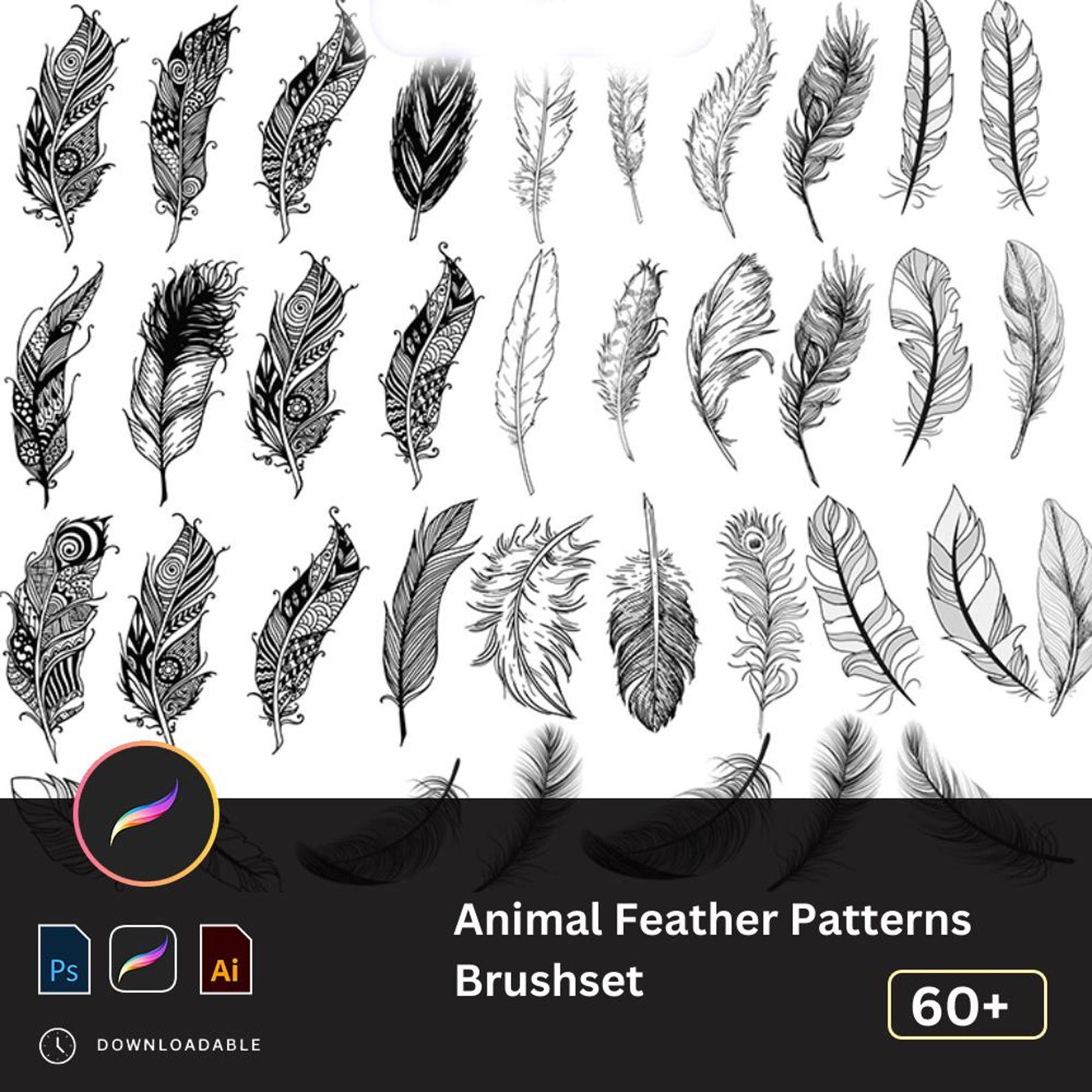 60+ Animal Feather Patterns Procreate Brush - Elegant Line Art for ...