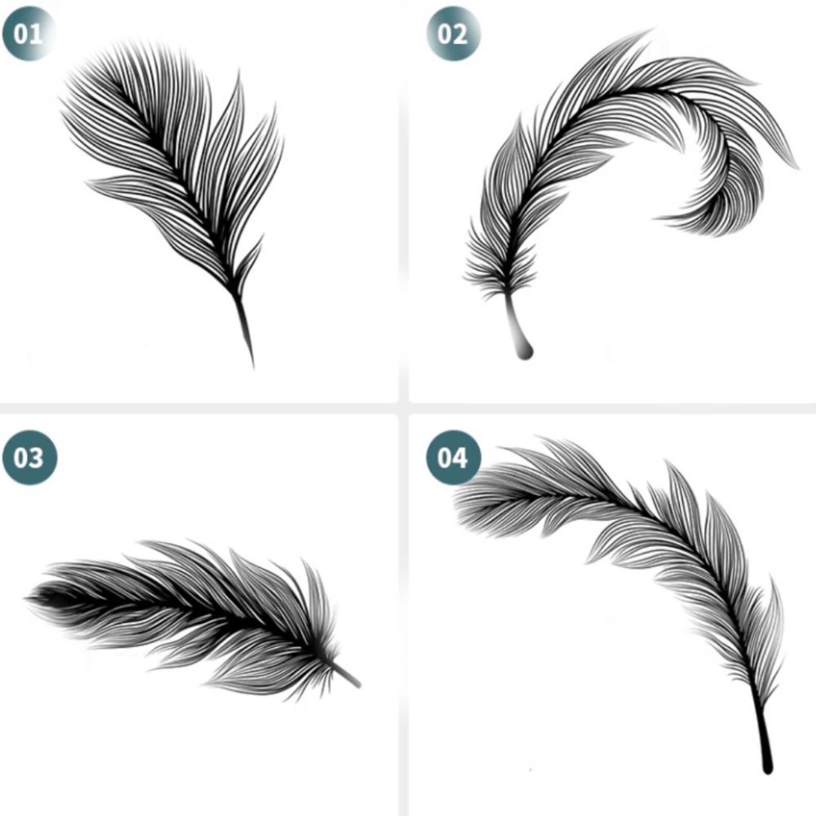 60+ Animal Feather Patterns Procreate Brush - Elegant Line Art for ...