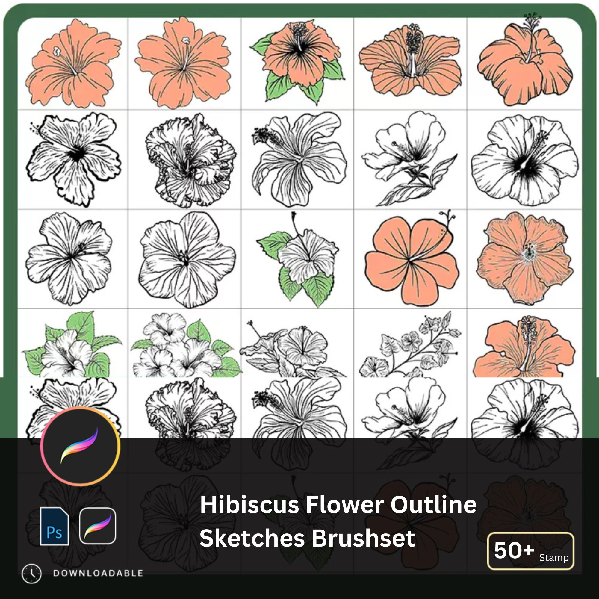 50+ Hibiscus Flower Stamp Brushes Procreate Floral Design, Line Art, PS ...