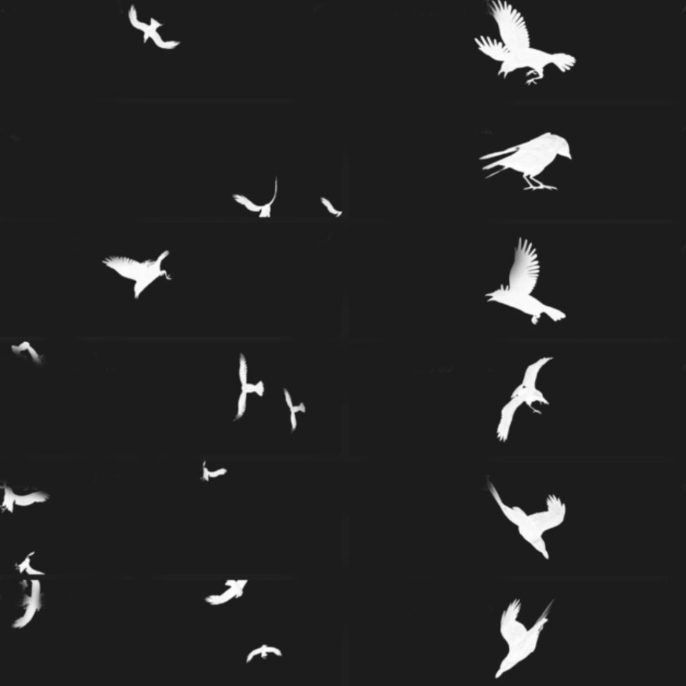 56 Anime Raven Silhouette Brushes for PS & Procreate | Dark Atmosphere ...