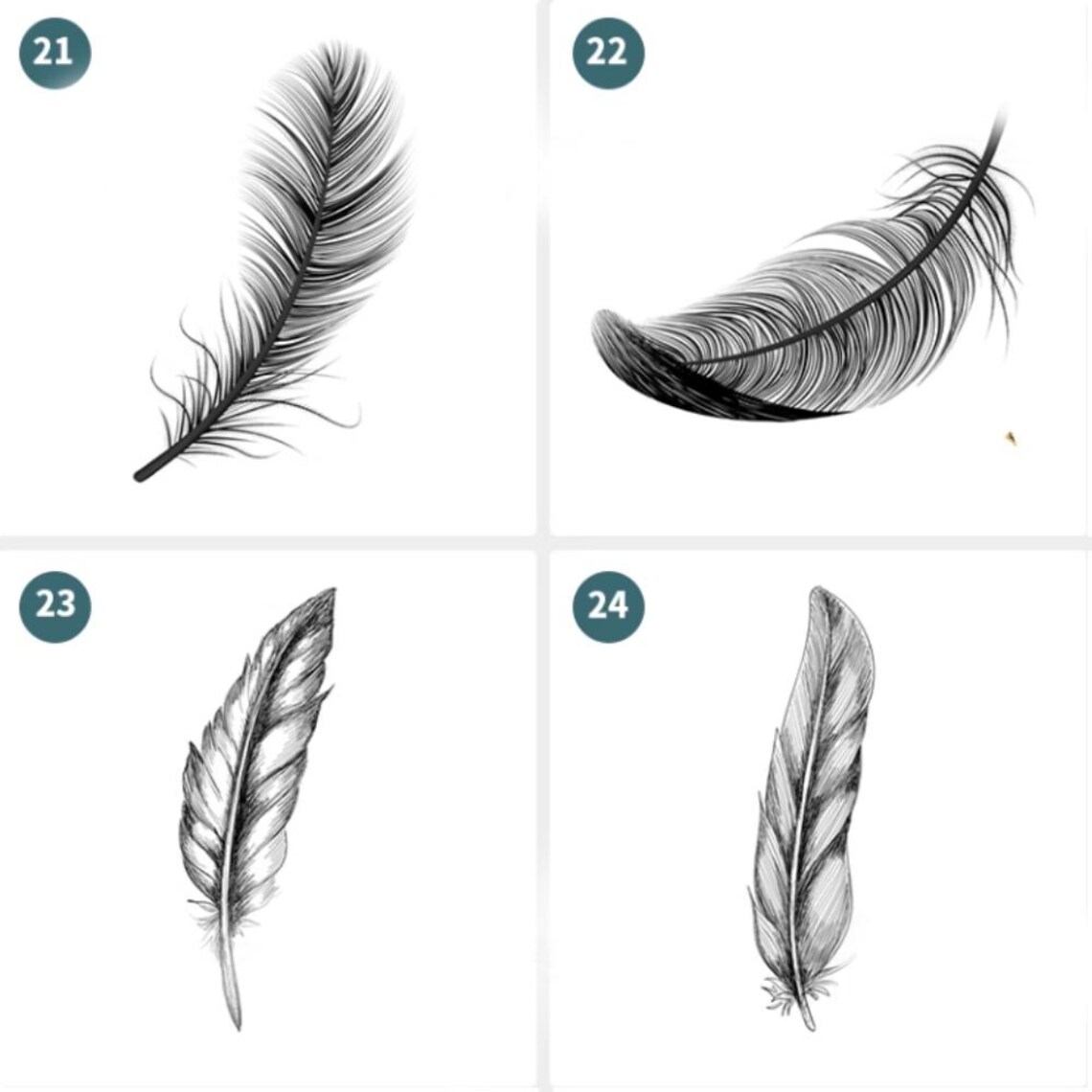 60+ Animal Feather Patterns Procreate Brush - Elegant Line Art for ...