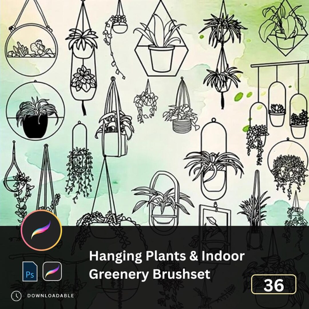 Hanging Plants Procreate and Photoshop Brushes Indoor Greenery Potted ...