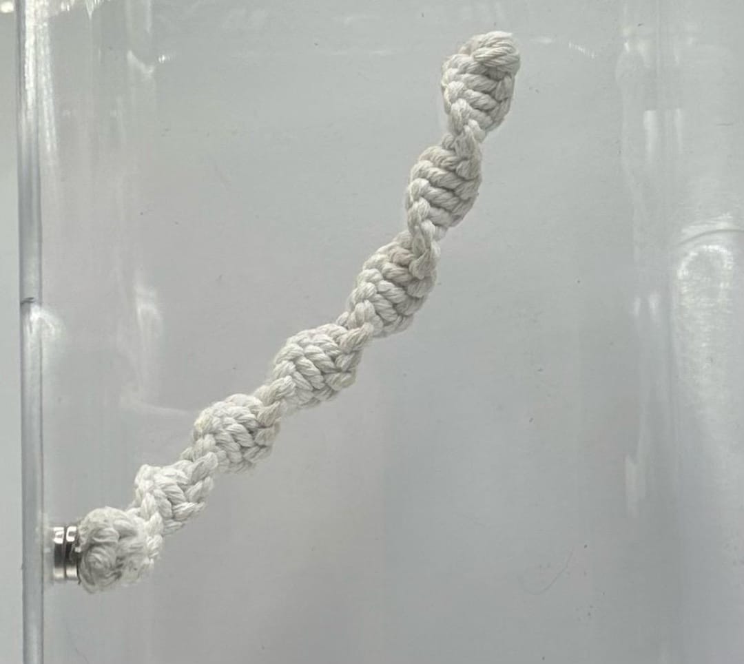 Jumping Spider Magnetic Rope Ladder Bridge (20 Color Options) - Etsy