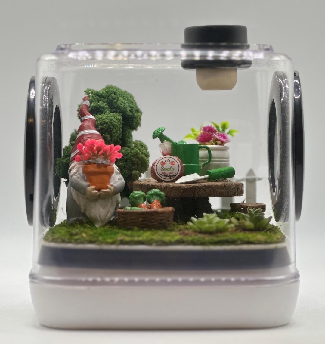 Jumping Spider Enclosure small - Etsy