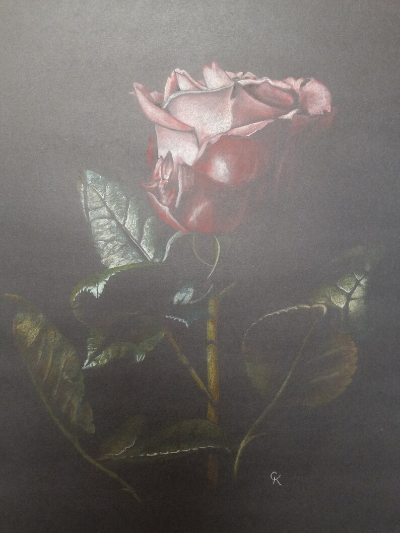 Rose/ Fine Art Print/ Pastel Drawing/ Single Rose/ Red Rose/ Single ...