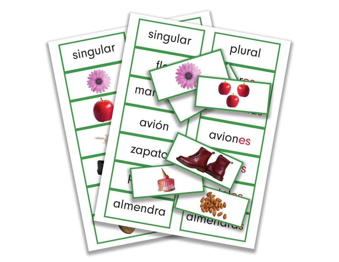 Singular and Plural Montessori Grammar - Etsy