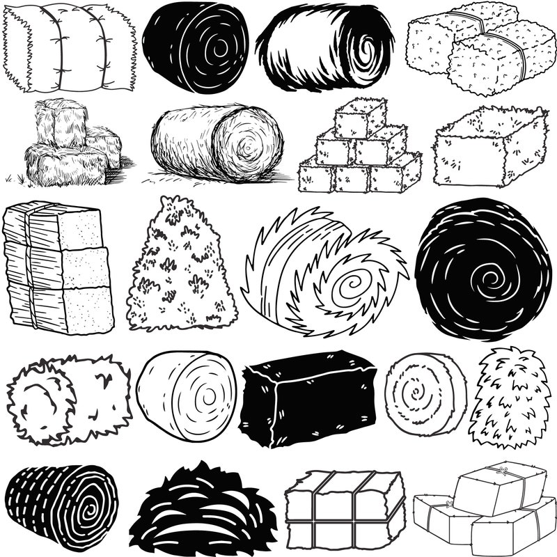 Hay Svg - Etsy