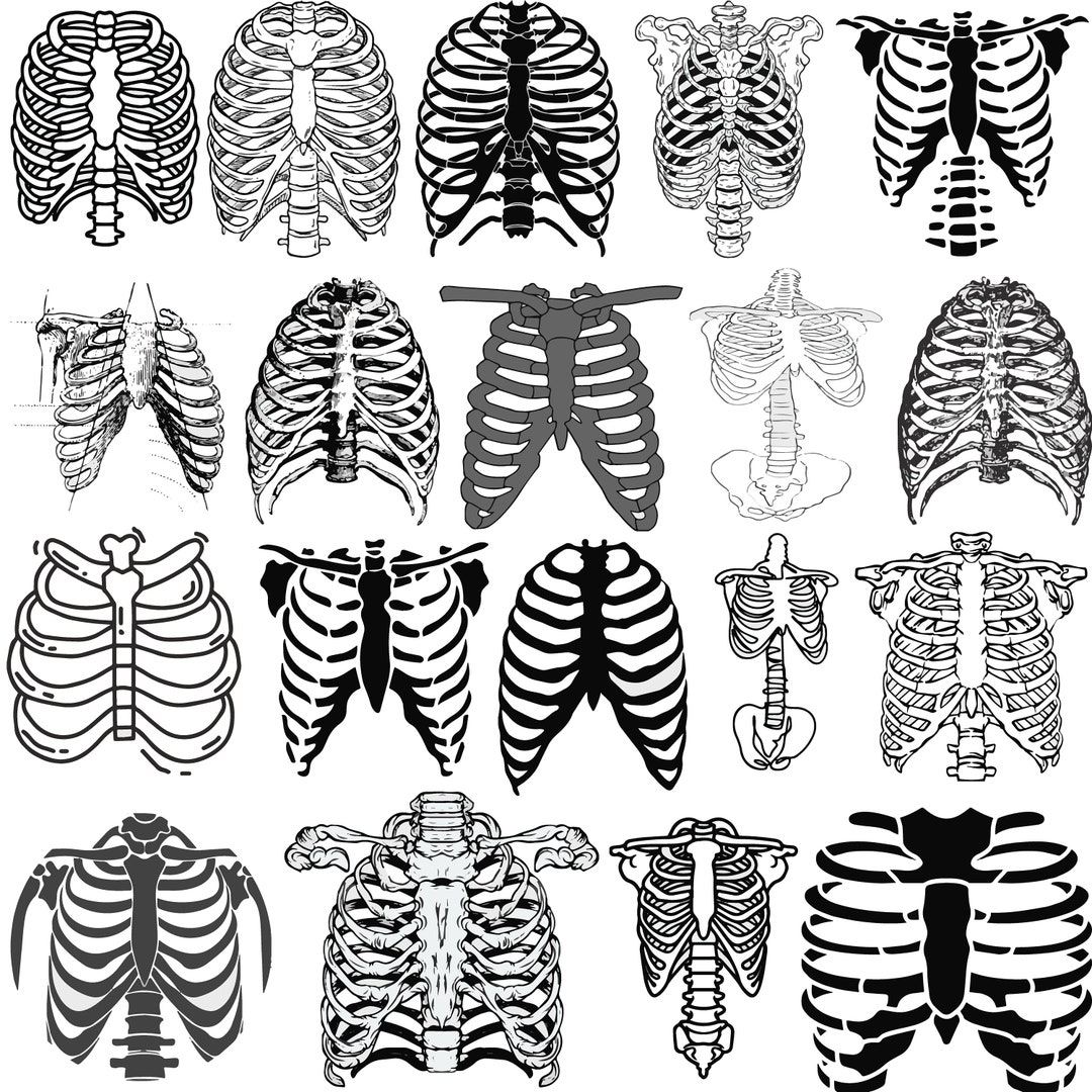 Skeleton Rib SVG Bundle, Skeleton Rib Clipart, Skeleton Rib Cut File ...