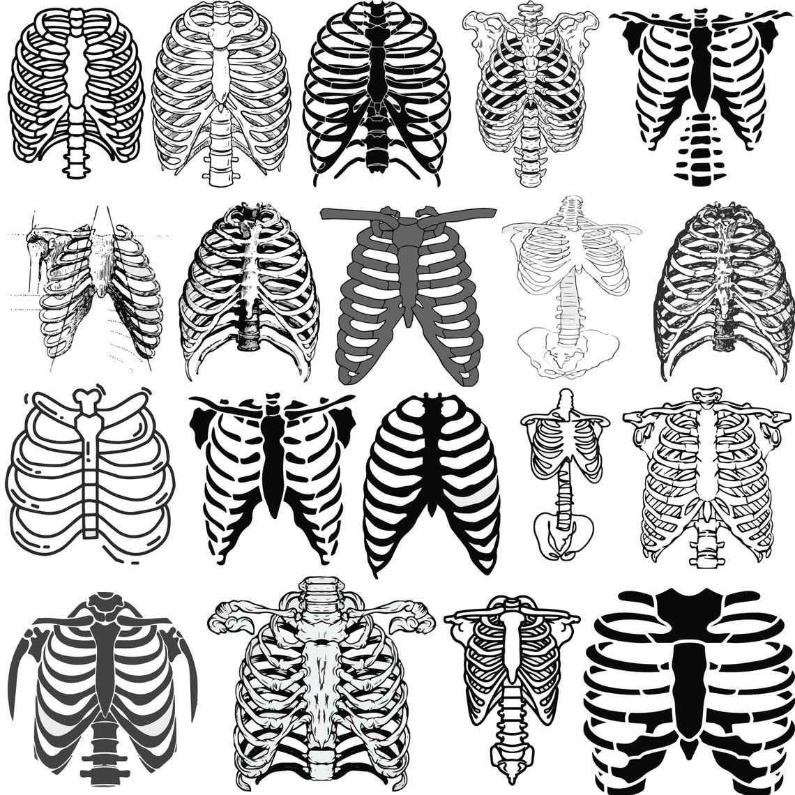 Skeleton Rib SVG Bundle, Skeleton Rib Clipart, Skeleton Rib Cut File ...