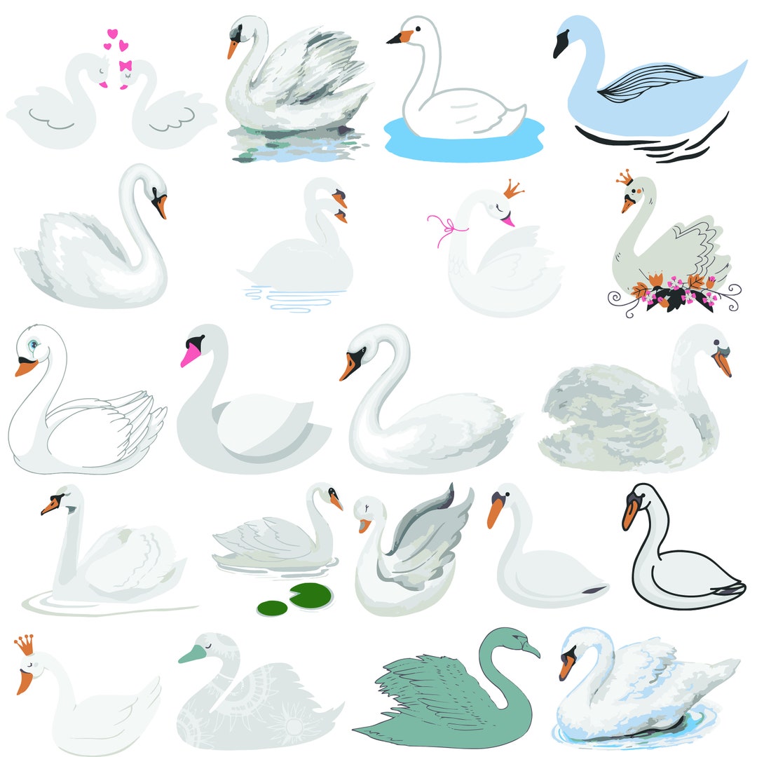 SWAN SVG BUNDLE, Swan Clipart, Swan Cut Files for Cricut, Swan Vector ...