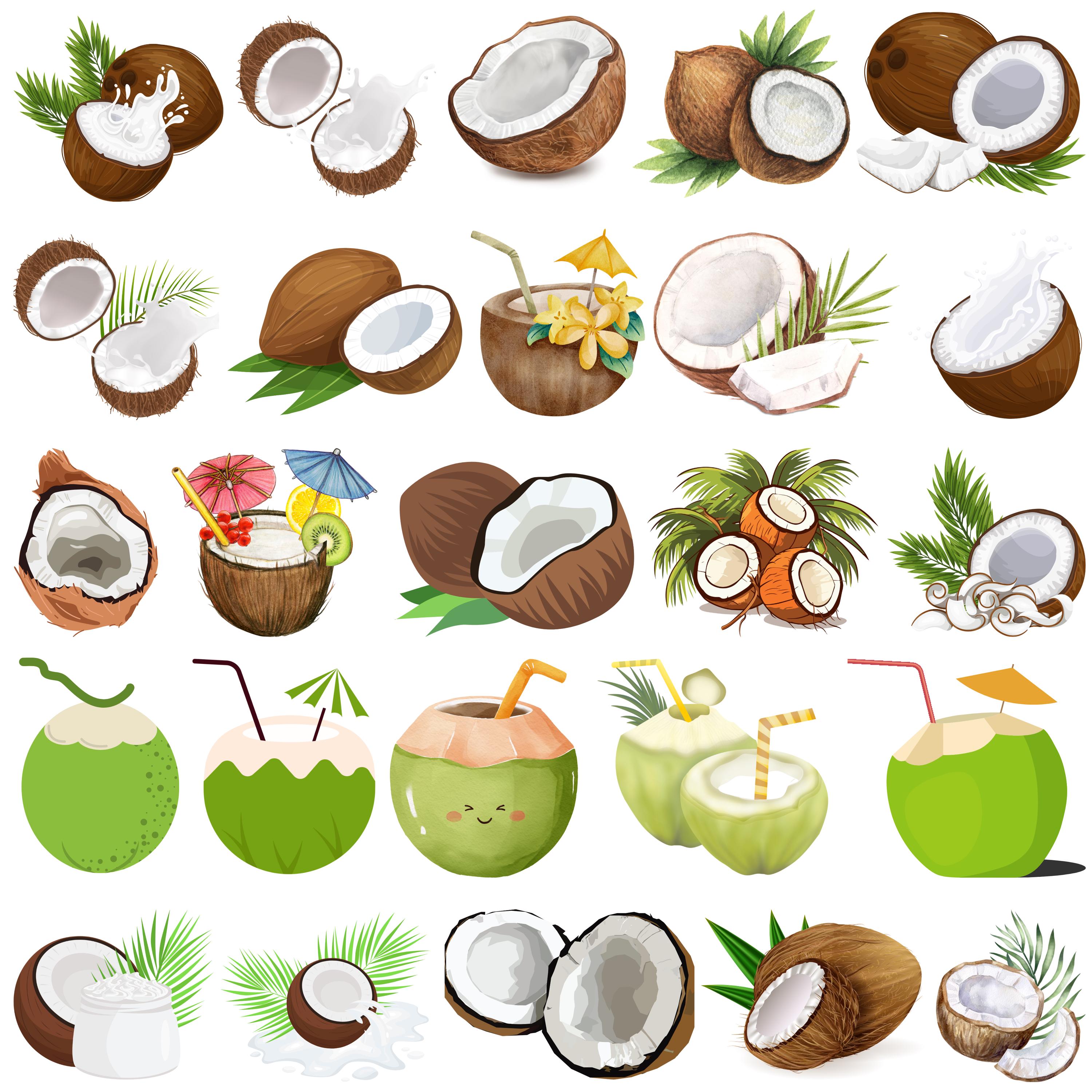 Coconut SVG, Coconut Cricut, Coconut Cocktail Svg, Summer Svg, Coconut ...