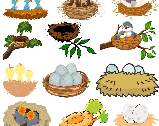 Bird Nest SVG Bundle, Bird Nest Vector, Bird Nest Clipart, Nest Cricut ...