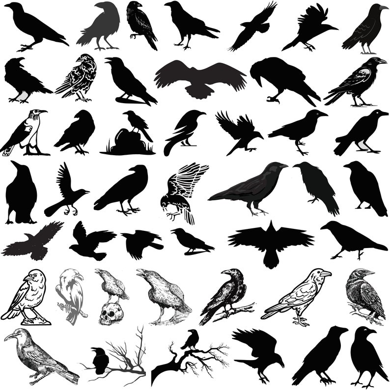 Raven SVG Bundle, Raven Clipart, Raven SVG Cut Files for Cricut, Dark ...